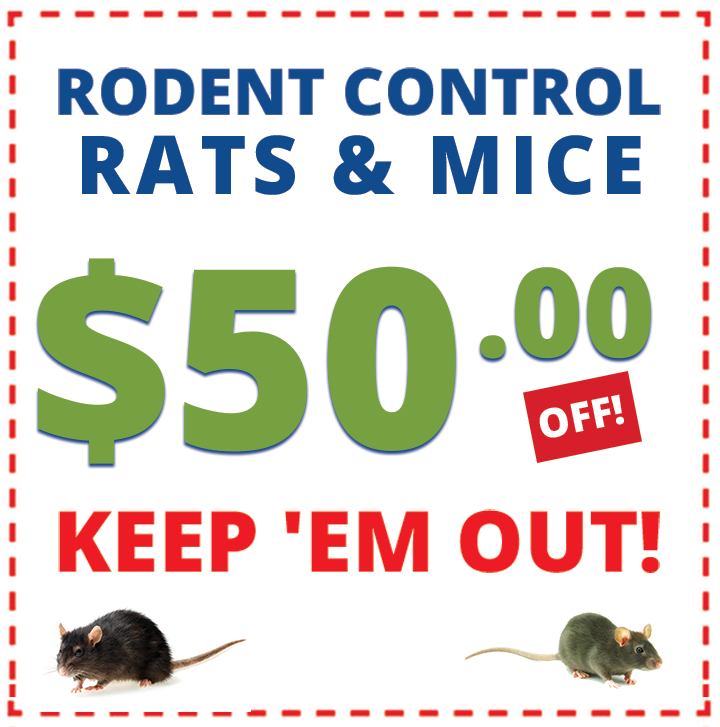 Rodent Control - Affordable Pest Control